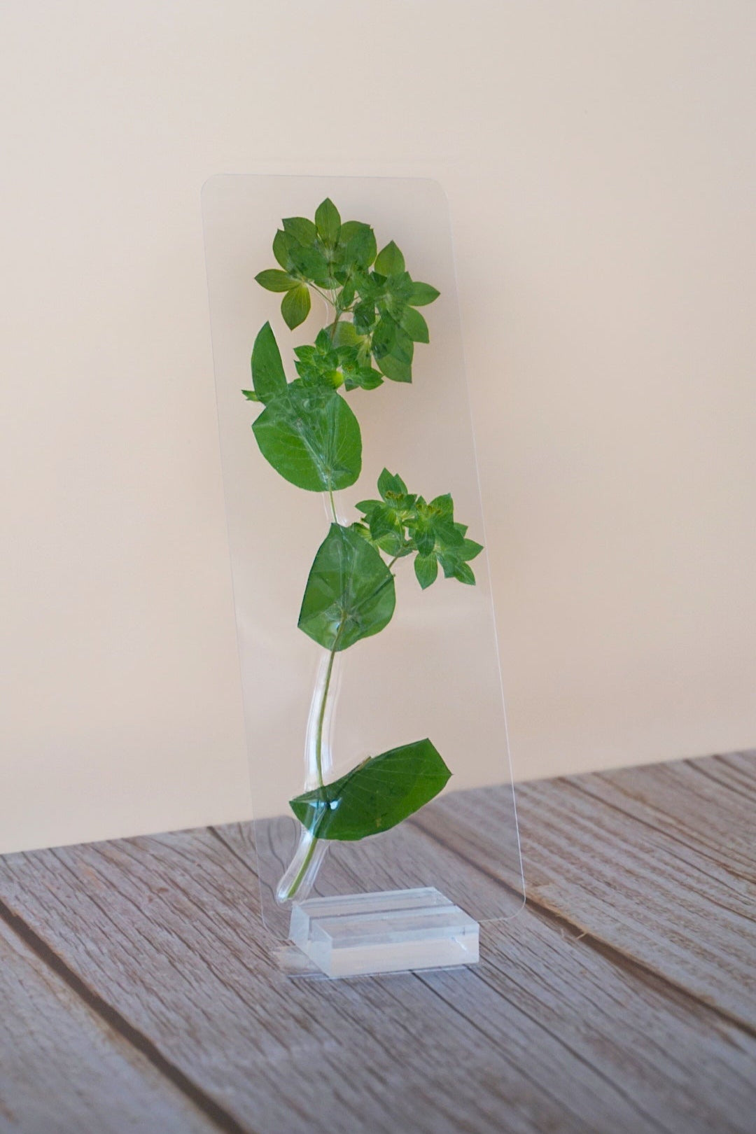 Haymitch Abernathy | Best Pressed Flower Bookmarks – Page Petal